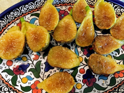 LSU Champagne Fig Cuttings - 3 Per Order | Ross Raddi