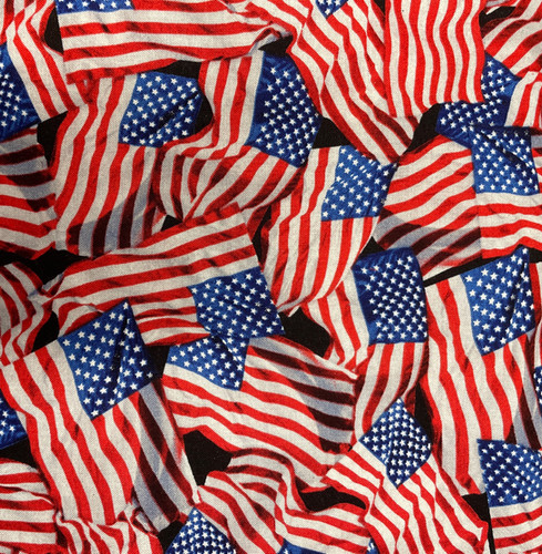 Waving American Flag | Pet Bandanas