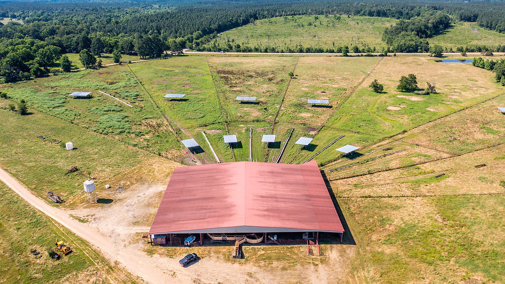 El Rey Ranch Wagyu | El Rey Ranch