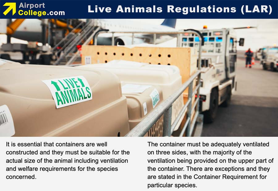 New Live Animals Regulations eLearning course