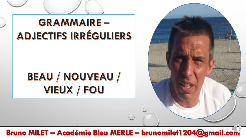 GRAMMAIRE - Les adjectifs beau, nouveau, vieux et fou