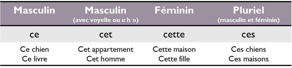 LES ADJECTIFS DÉMONSTRATIFS - COURS + EXERCICES + CORRECTIONS