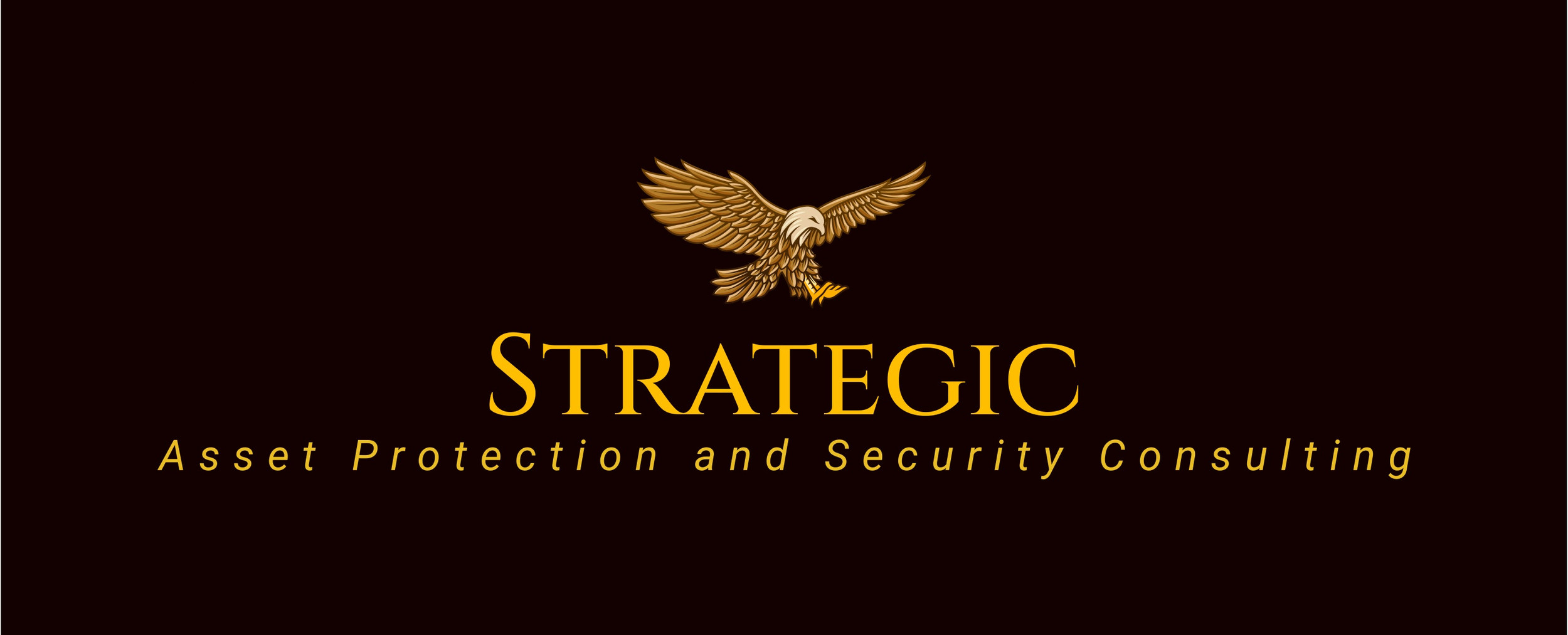 Strategic Asset Protection and Security Consulting | Alarm System