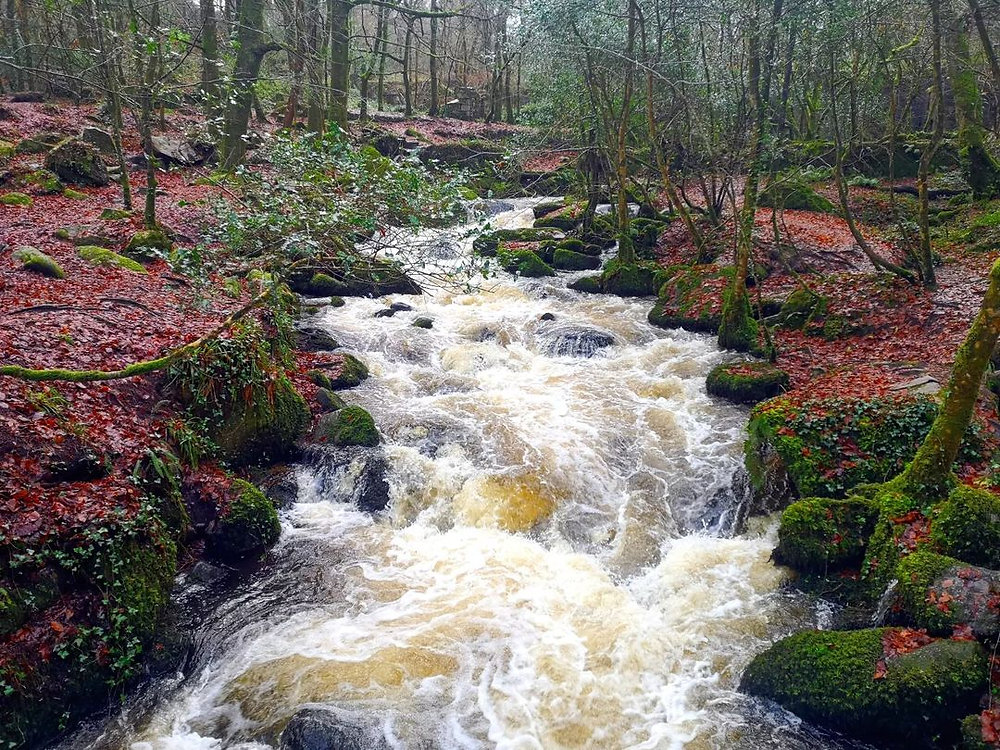Kennall Vale | Hidden Waterfall in Cornwall, England
