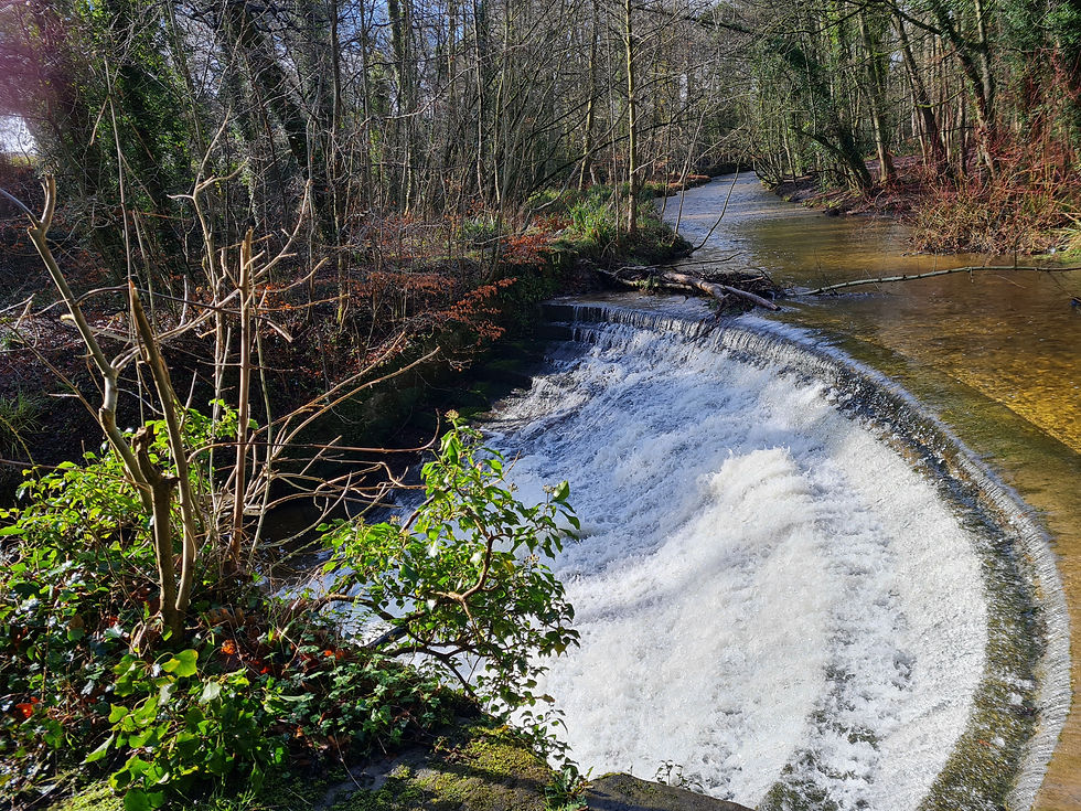 Best Hidden Gems in and around Wrexham