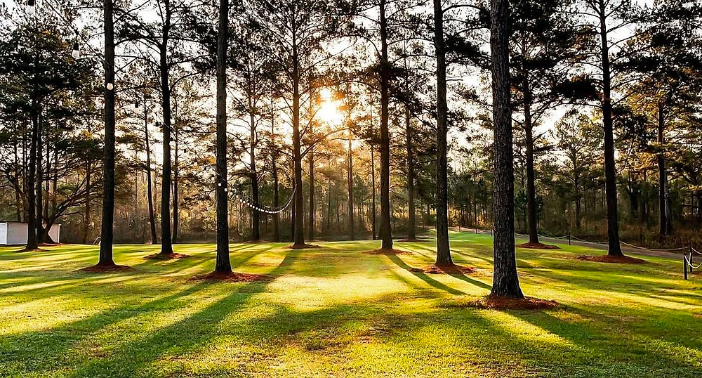 Spring Events in Tallahassee | Loblolly Rise Venue, Thomasville, GA