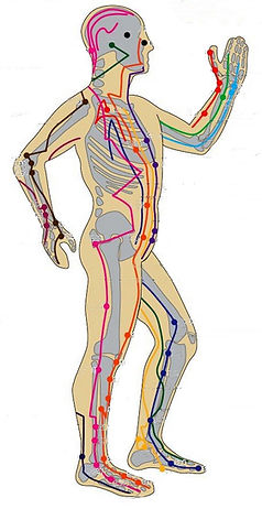About | Body Wisdom Tree | What Meridian Stress Analysis?