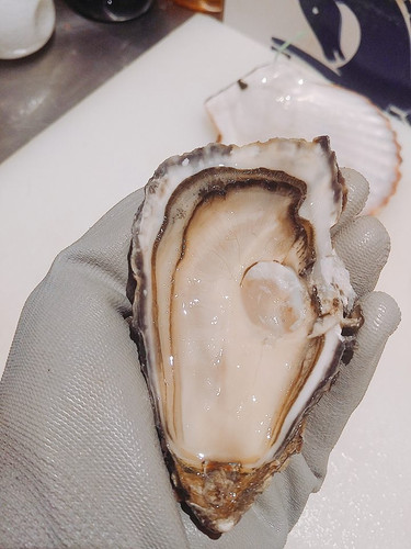 法國黃金蠔Ostra Or N2 | openmeal