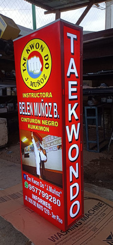 Letrero luminoso 1 color | My Site