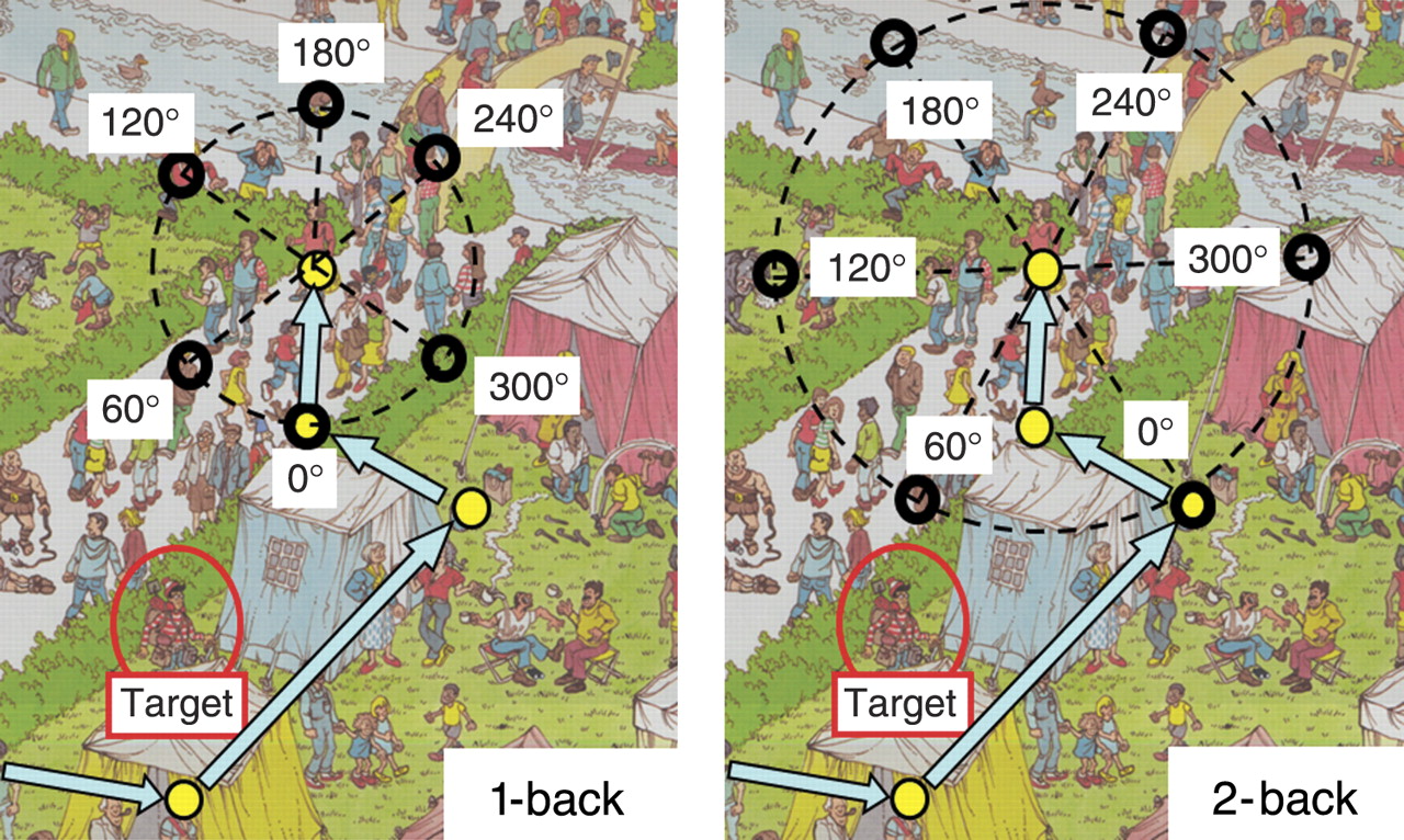 CINELab Research | Eye Movements & Scene Perception