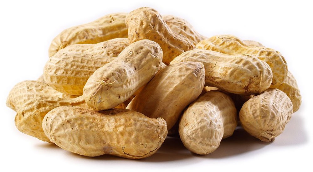 Your Guide to Peanuts from Dedicated Facilities
