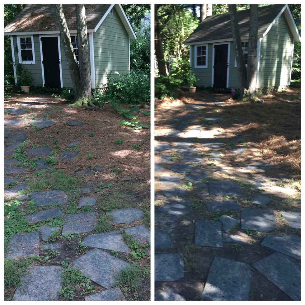 HOME | the-lone-mower