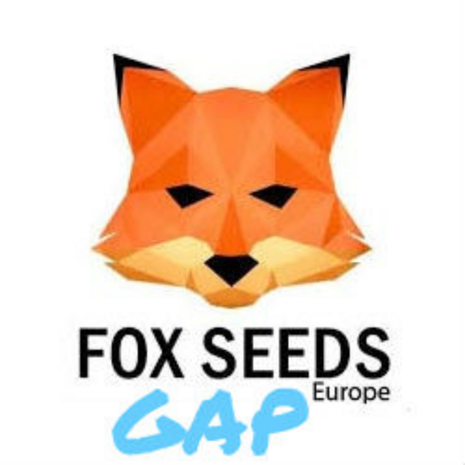Join “ Fox Seeds Gap ” on Spaces by Wix