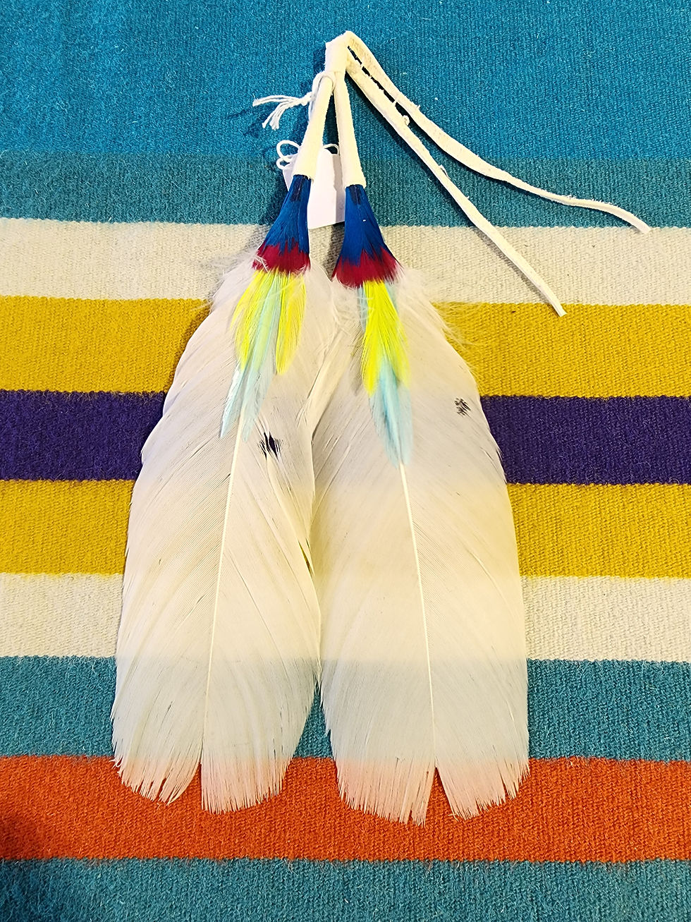 Native American artwork and items | Waterbird Gallery | United States 2/3