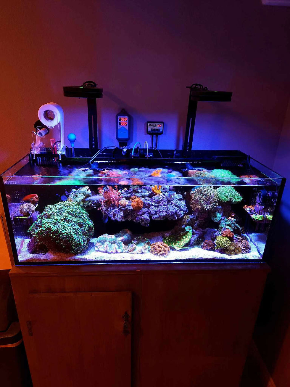 Automatic fleece roller filter | Reef N Roll