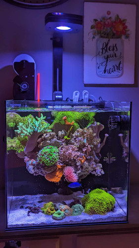 Waterbox aquarium 10 drop in style roller | Reef N Roll