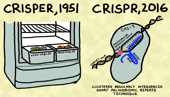 China's CRISPR crisis- The World's First Genome Edited Twins