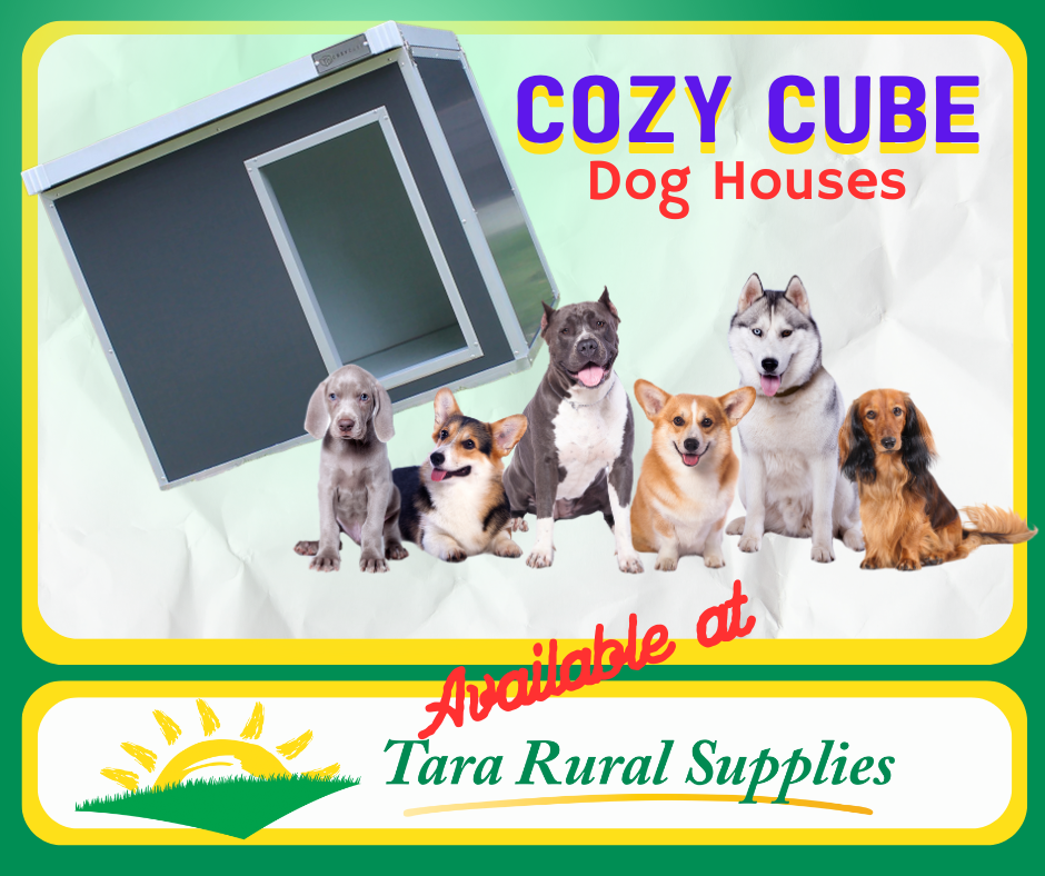 Condamine Mural Art | Condamine Seeds