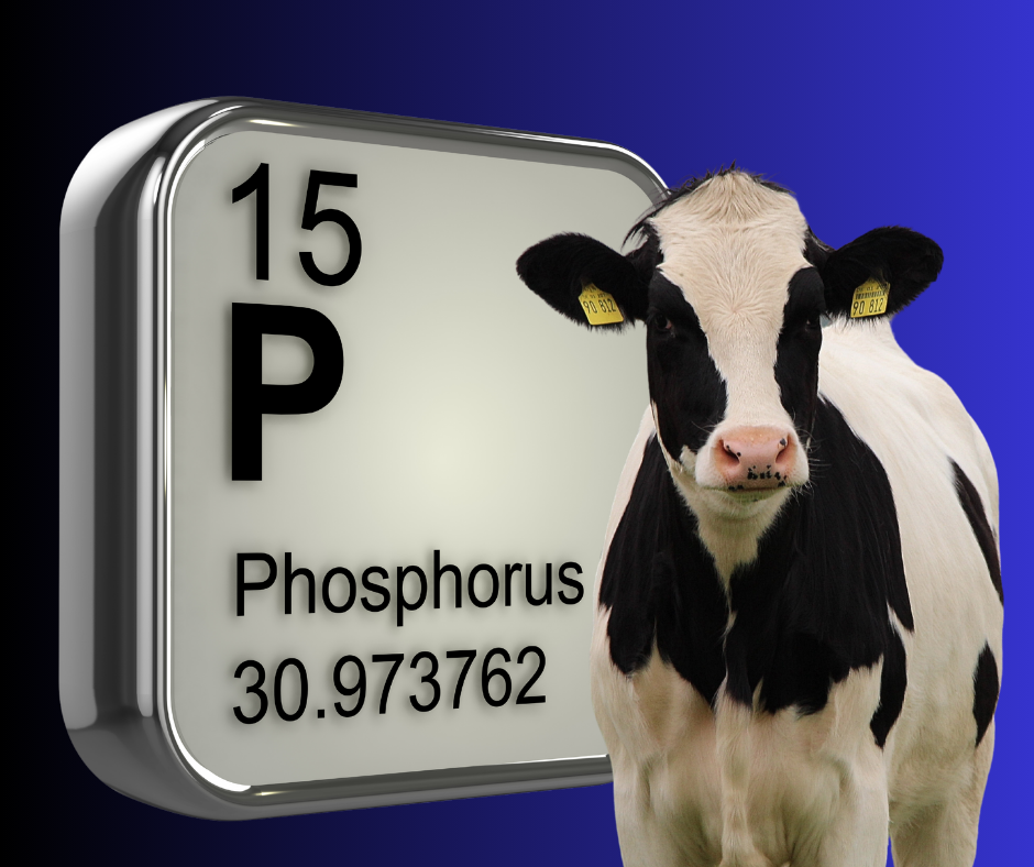 An Essential Element for Breeding and Growing