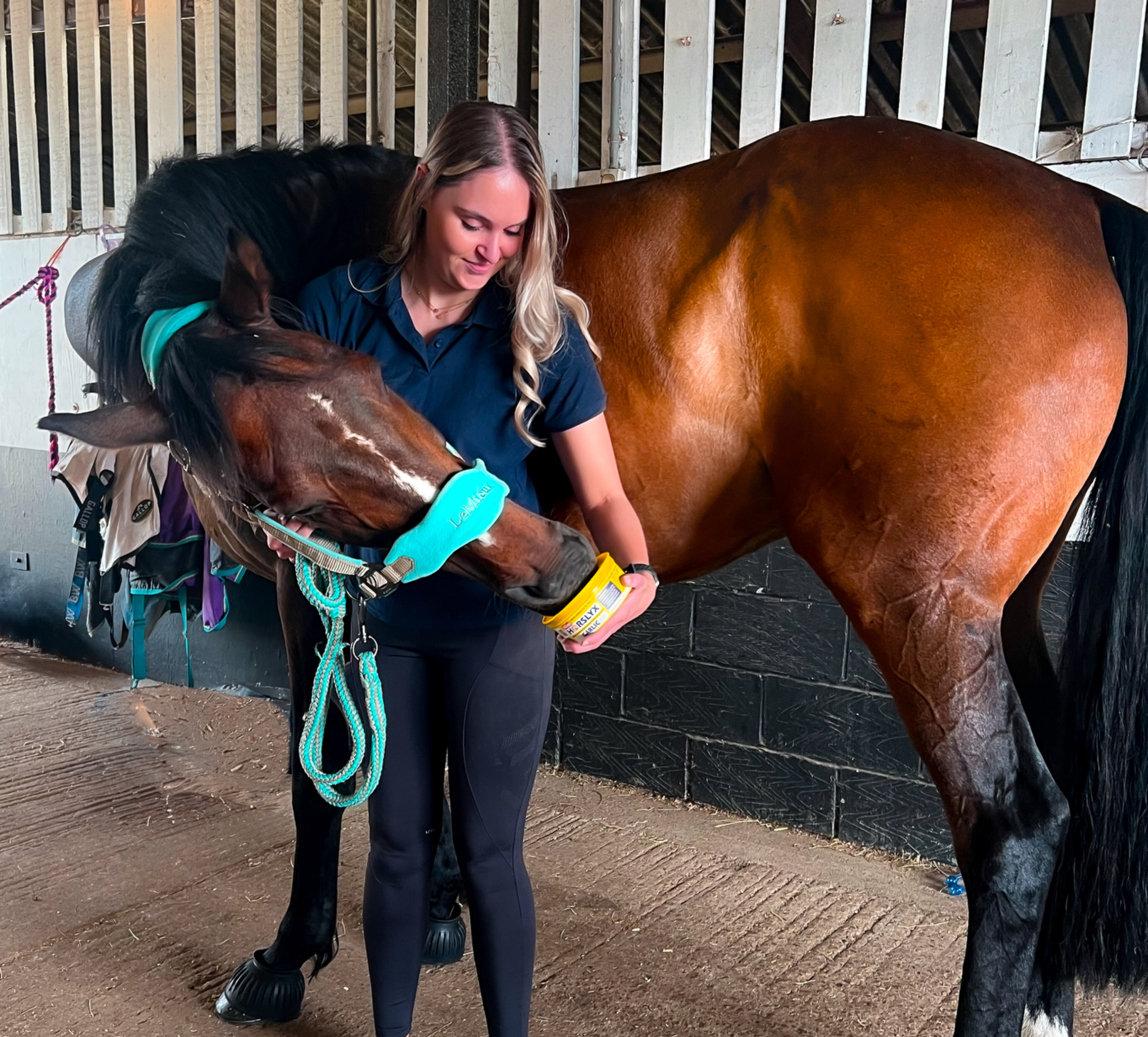 Equine Physiotherapy | CS Veterinary Physio