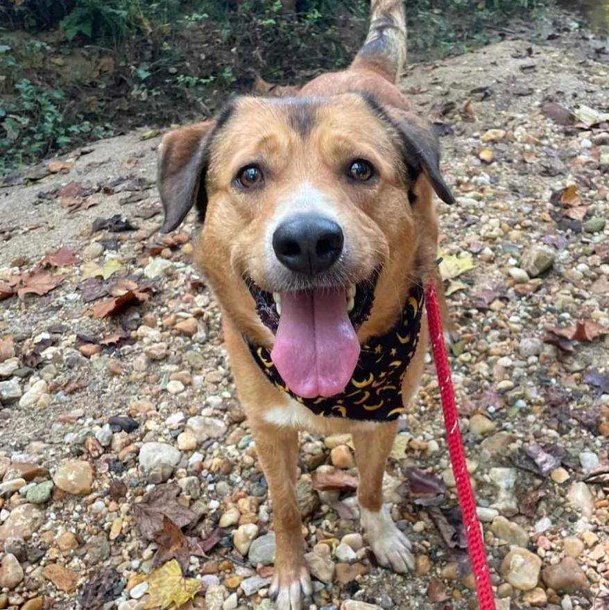 Sunday Hike 8:40 AM at ODHS | ODHS