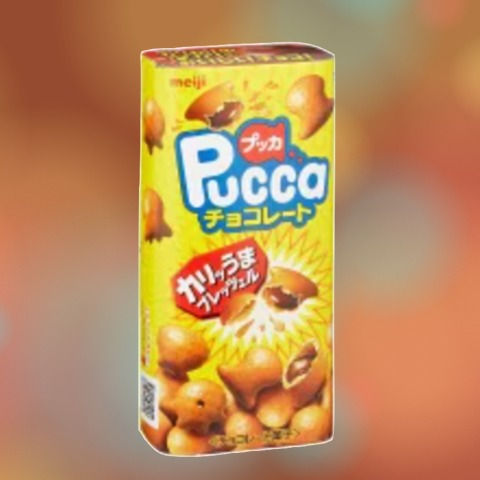 MEIJI PUCCA CHOCOLATE | Oishii Japan Snacks