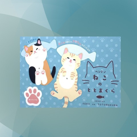 Wakao chocolate | Oishii Japan Snacks