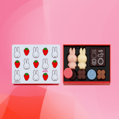 Miffy Chocolate | Oishii Japan Snacks