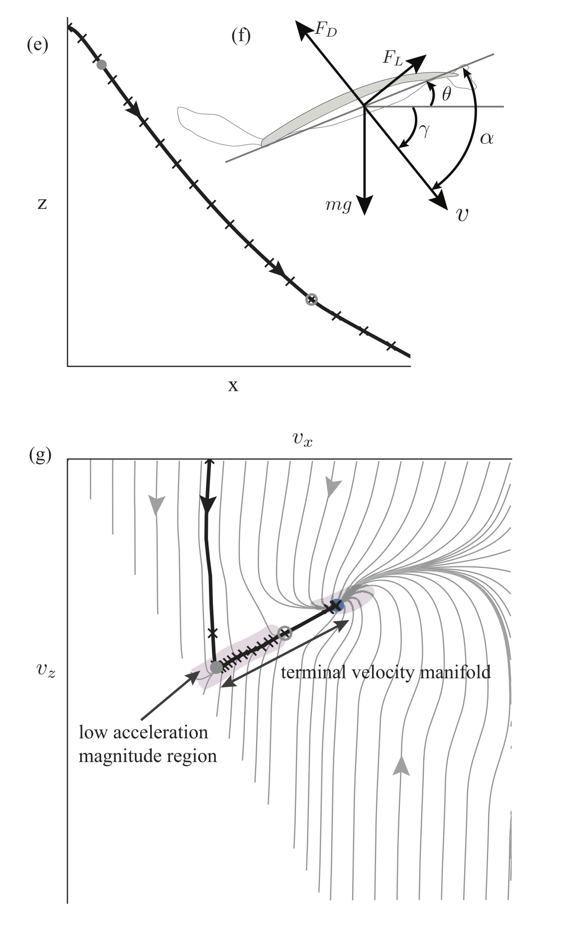 Paper in “Highlights of 2017“ in Bioinspiration & Biomimetics | Socha Lab