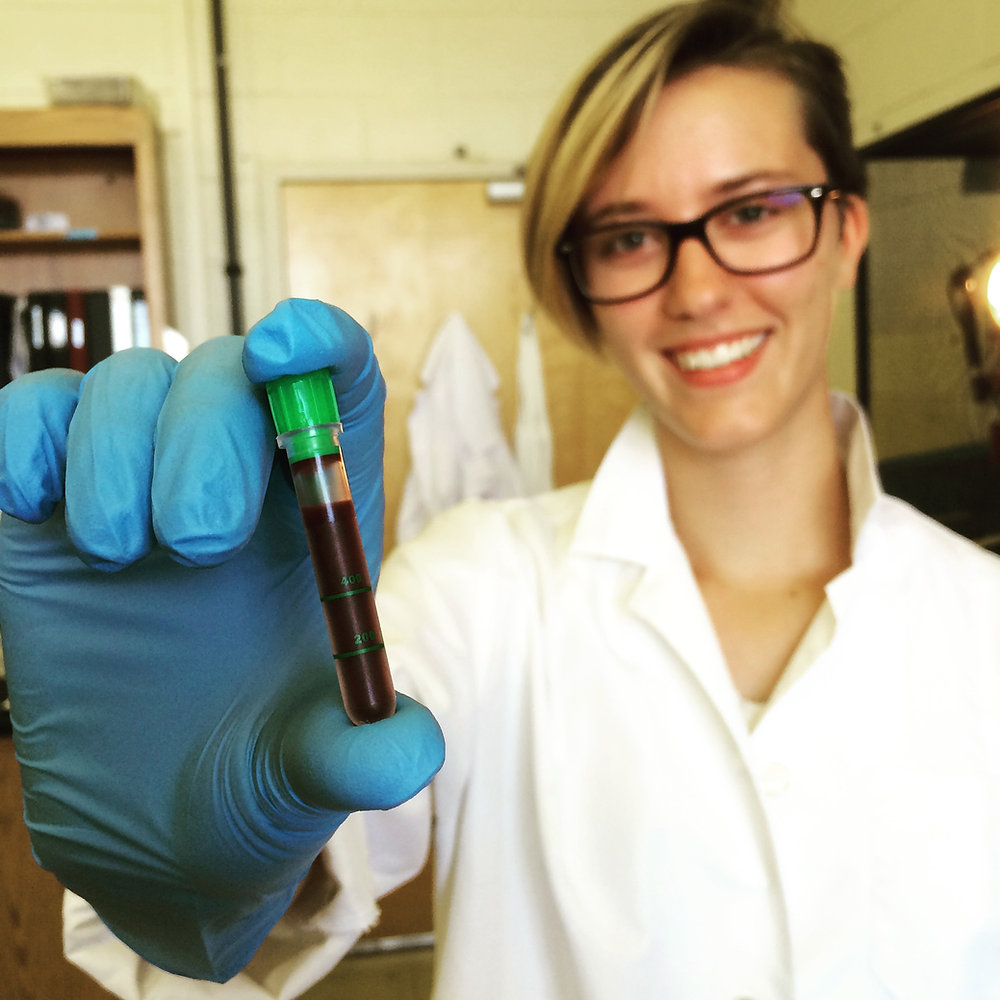 Collection of snake blood