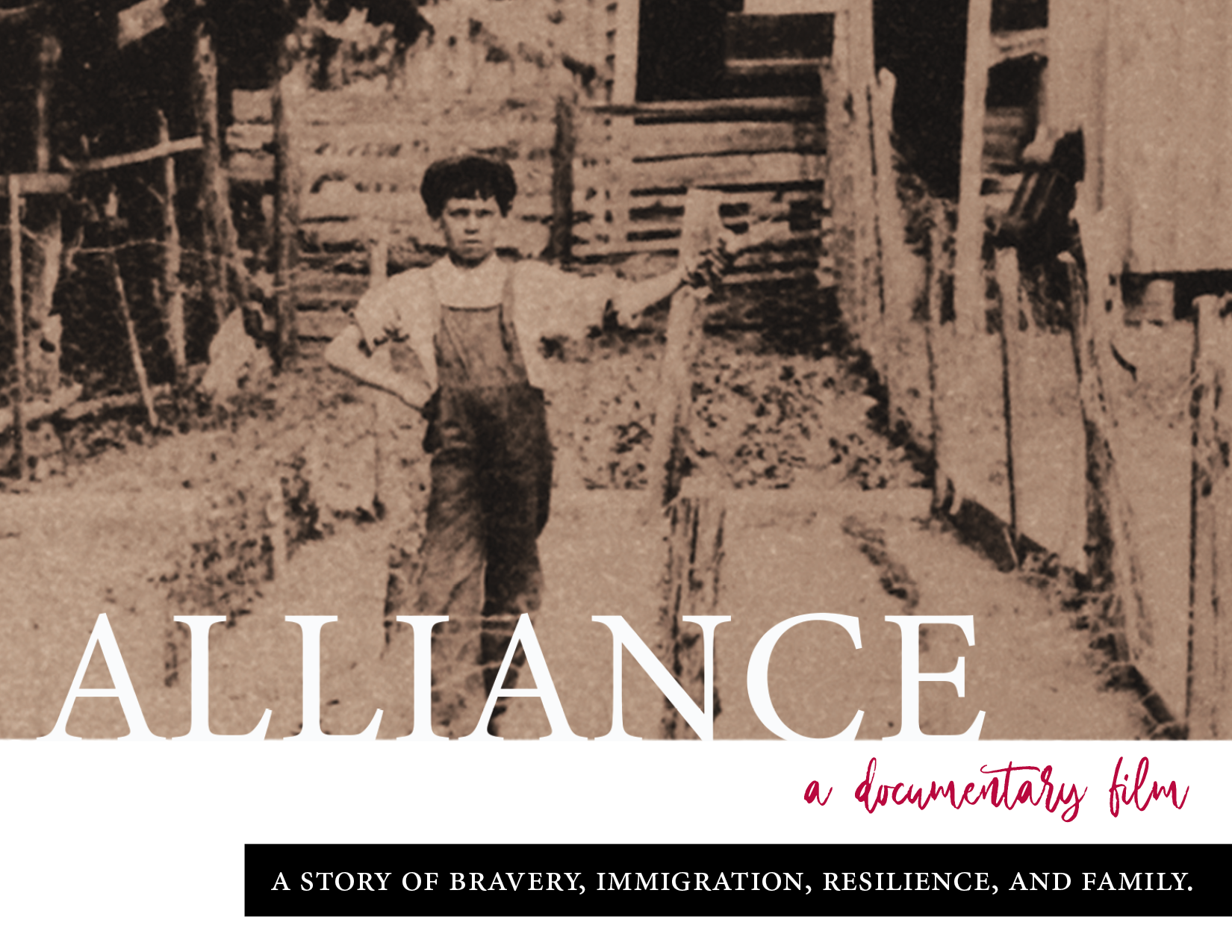 Documentary | ALLIANCE