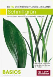 BASICS Cut Foliage Flashcards | Thrive Floristry