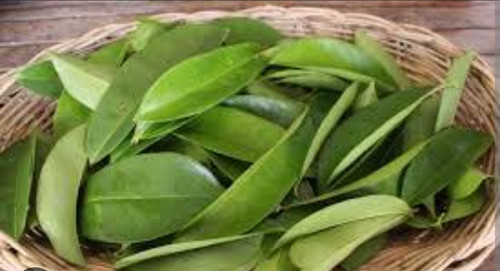 Soursop Leaves | Chiccharney Farms
