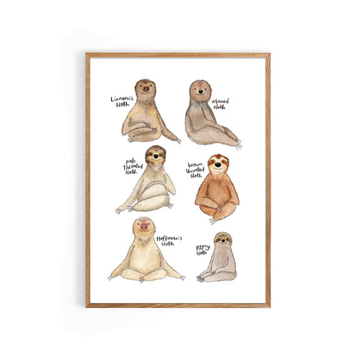 Sloths A4 Print | novaandme