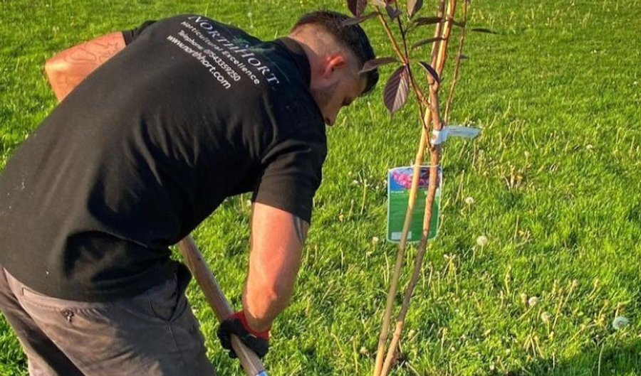 Plant a Tree for the Jubilee - Rebuilding Trust In The Community