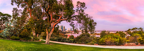 Kings Park Sunset Landscape Photography Print by Michael Willis