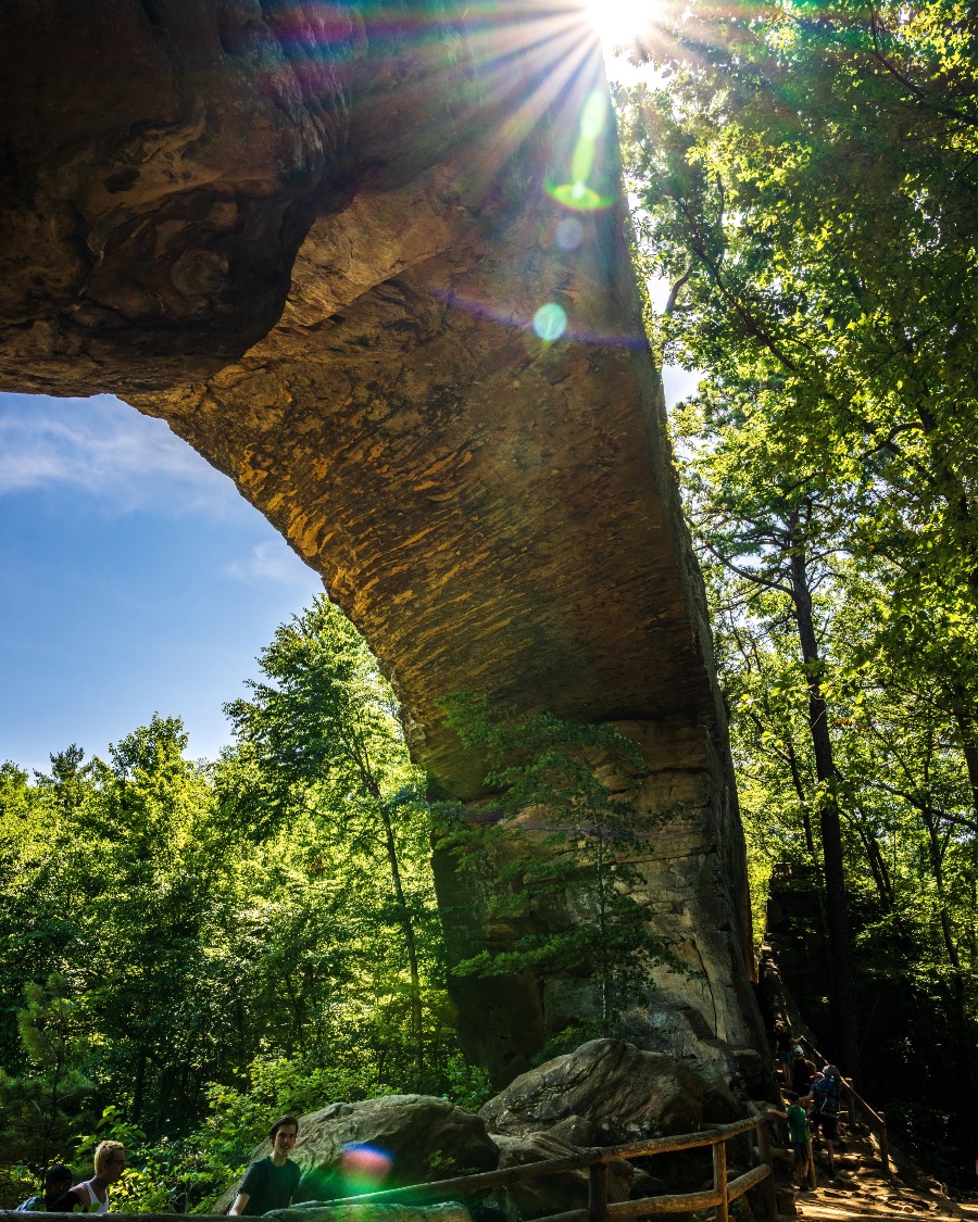 Secret waterfalls +10 other things to do in Red River Gorge