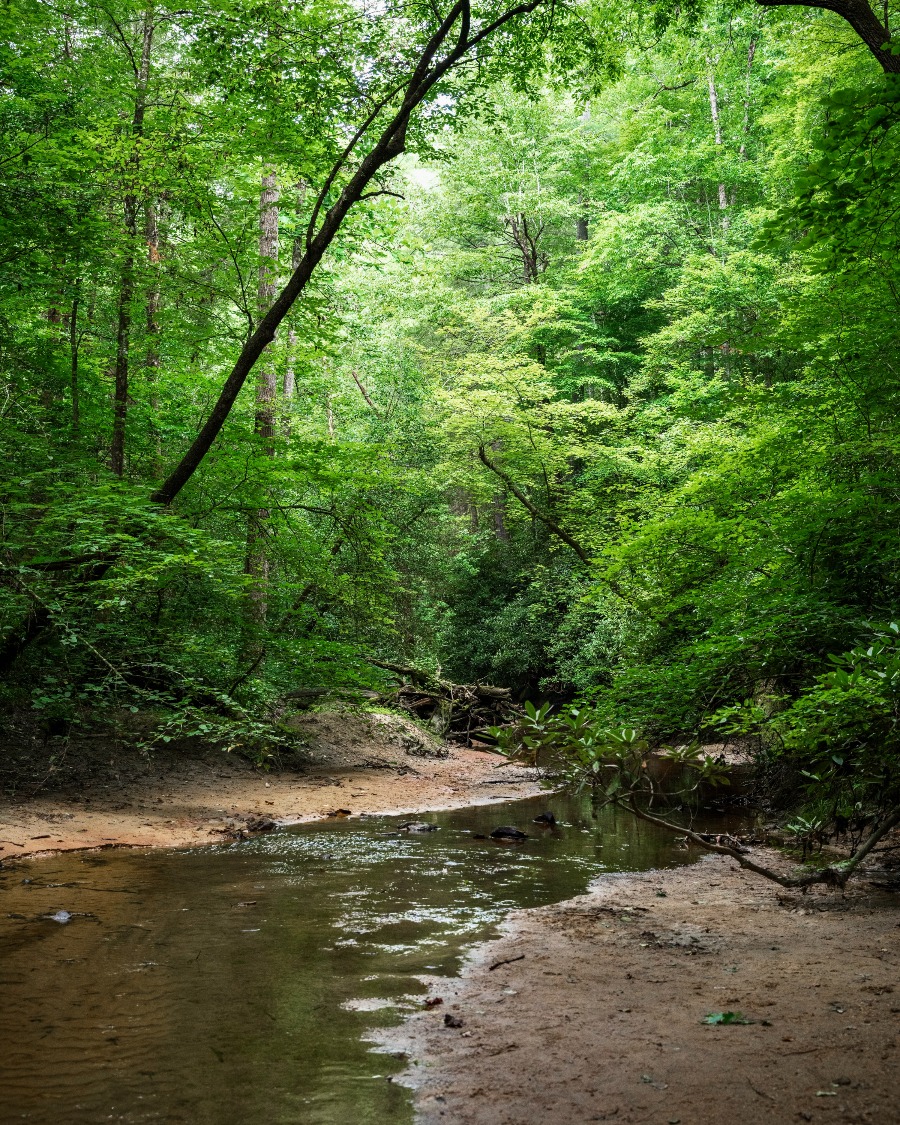 Secret waterfalls +10 other things to do in Red River Gorge