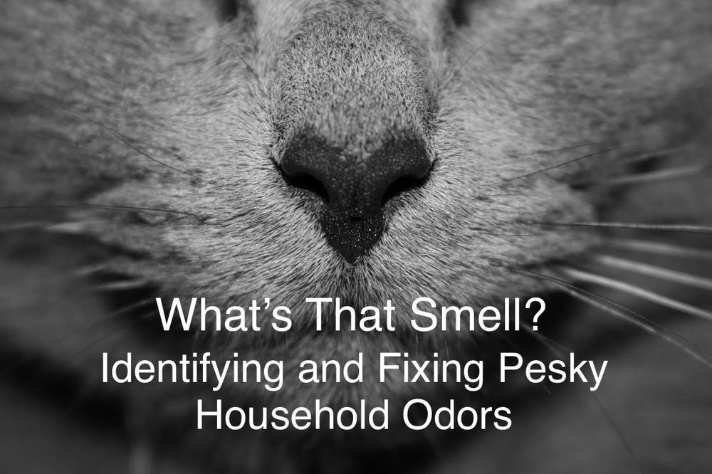 What’s That Smell? Identifying and Fixing Pesky Household Odors