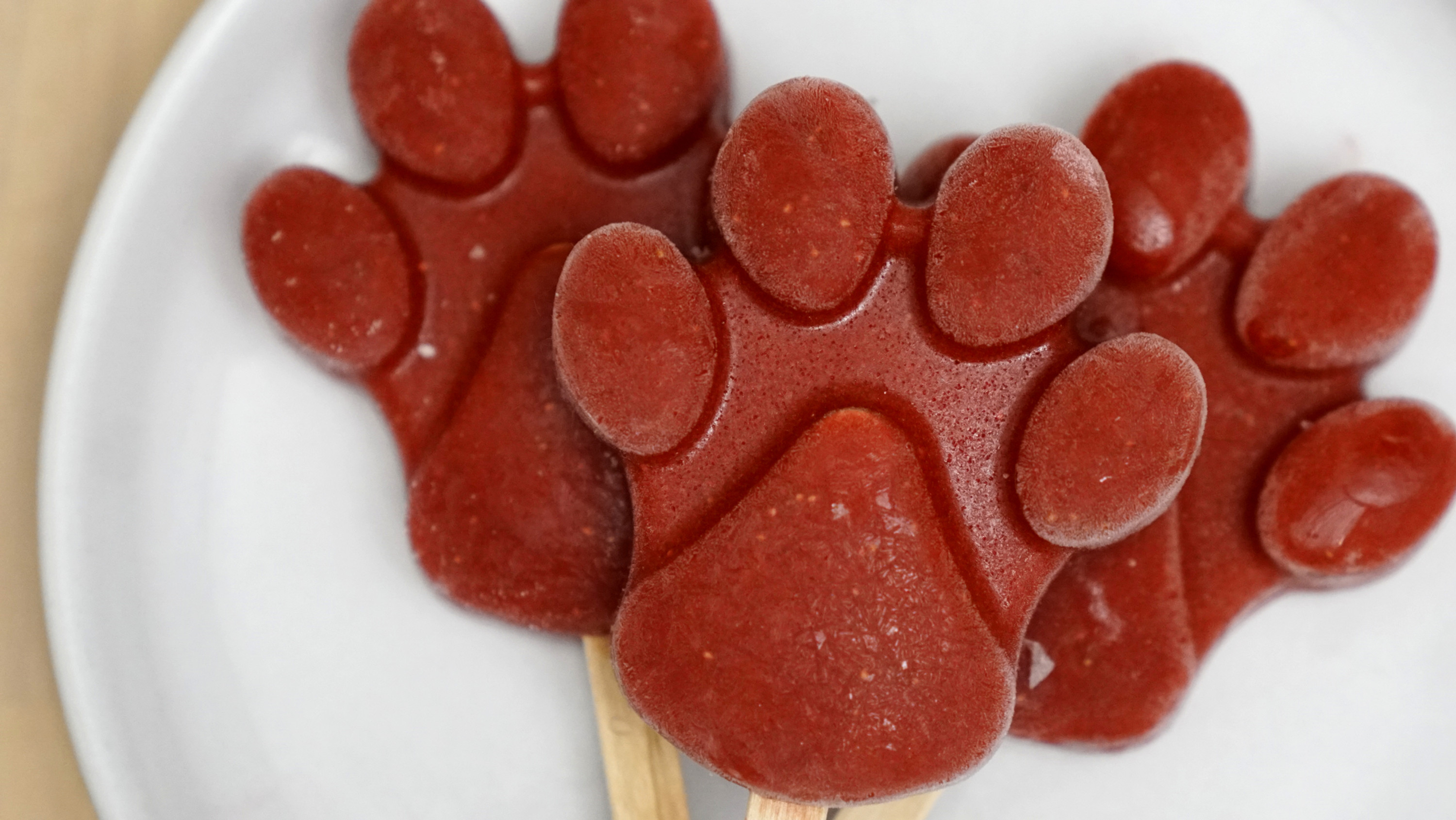 ZOOTOPIA: pawpsicles and PB&J ice cream
