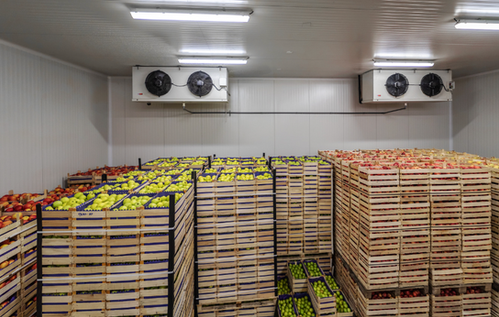 Wedge India: Affordable Vegetable Cold Storage Solutions