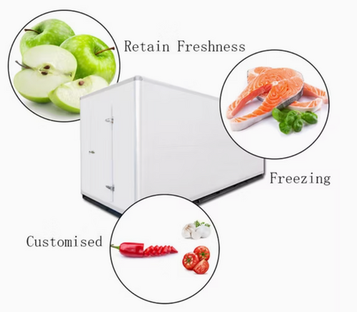 Mini Cold Storage Solutions by Wedge India - Energy Efficient & Affordable