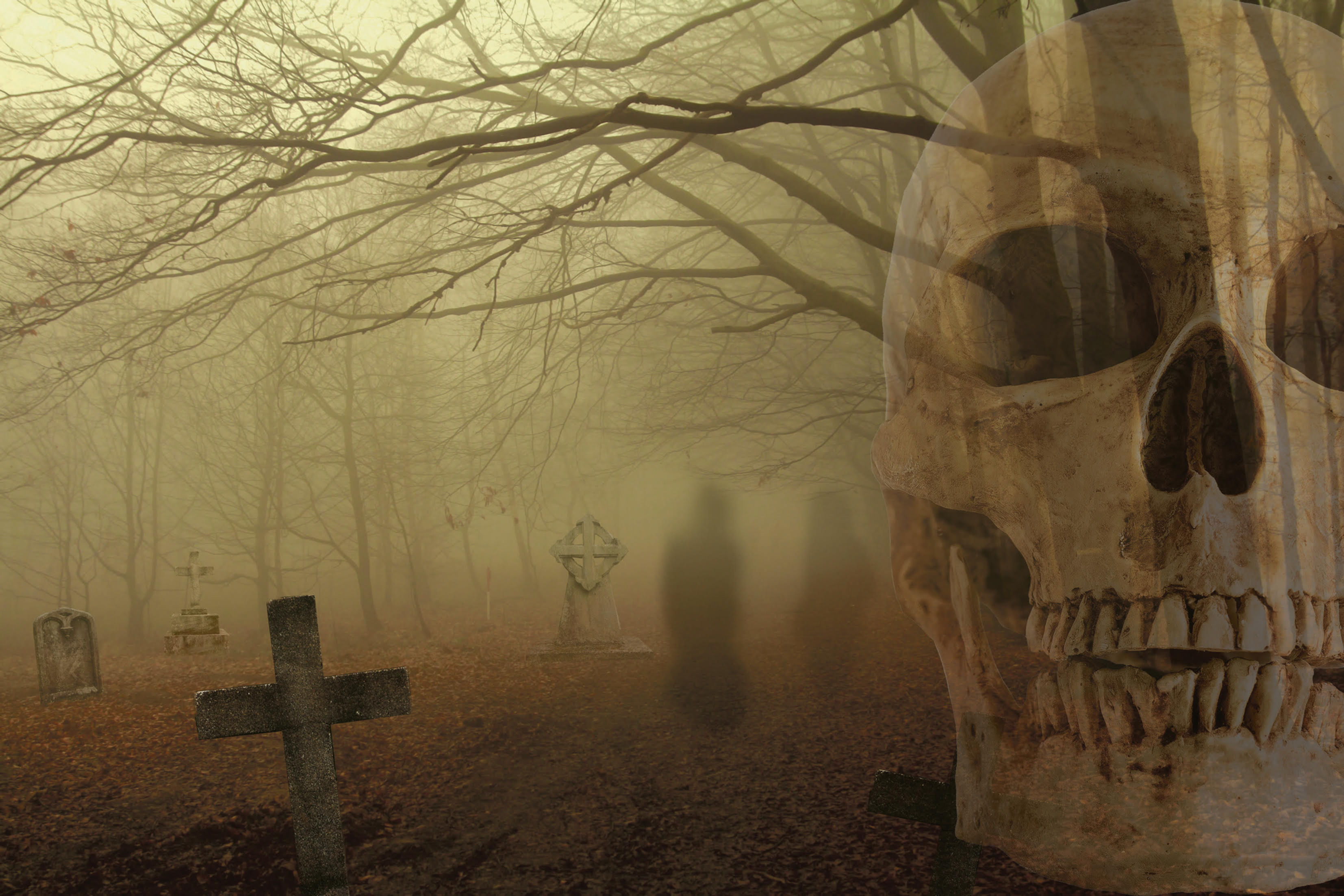 BOOK ONLINE | ghost-walk-durango