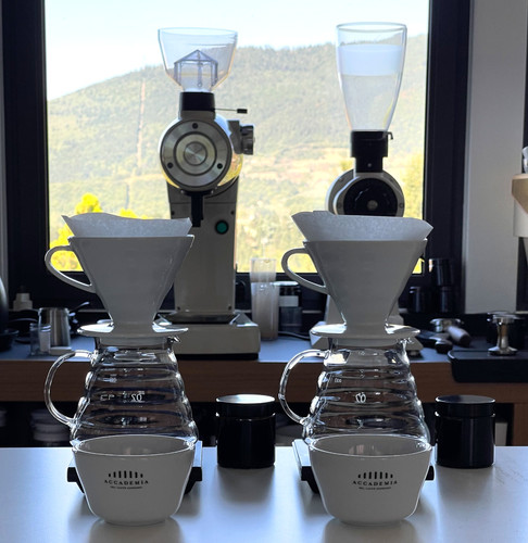 BREWING MASTERCLASS: tecniche avanzate | SITO AROMA