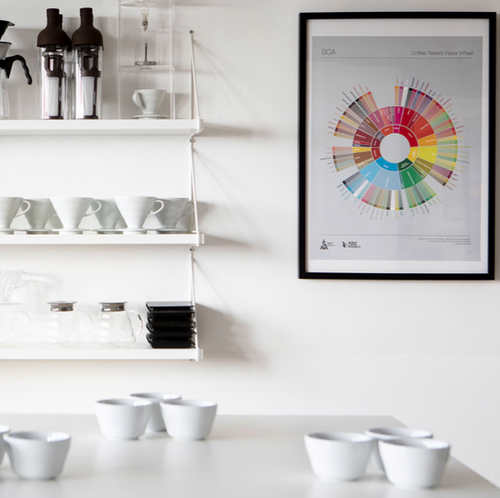 SCA BREWING FOUNDATION 🇮🇹 | SITO AROMA