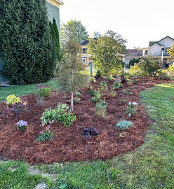 Urban Conservation Learning Lab Rain Garden