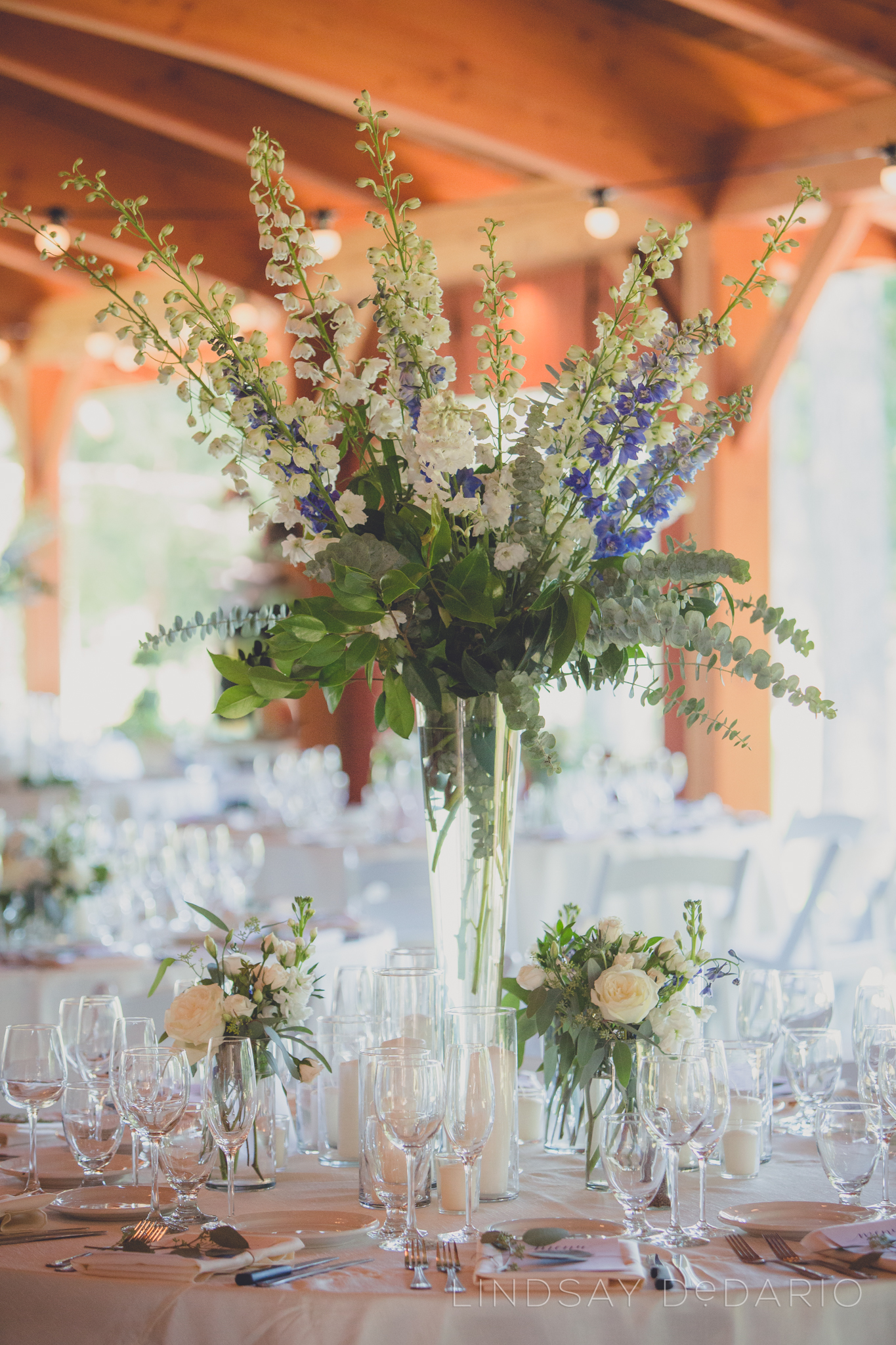 Spring Lake Winery- Photo Gallery-716-439-5253