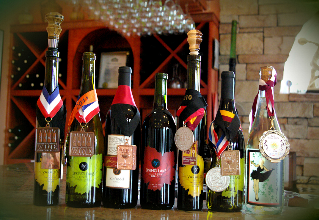 Spring Lake Winery- Photo Gallery-716-439-5253
