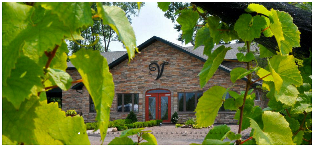 Spring Lake Winery- Photo Gallery-716-439-5253