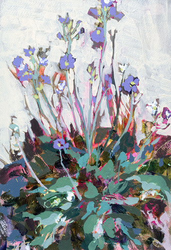 Primrose Study I - Paper, 11x8" | Jennifer L Mohr Art